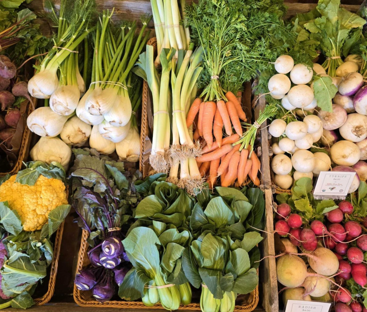 Golden Acres Organic Farm | Fresh Organic Produce on the North Fork
